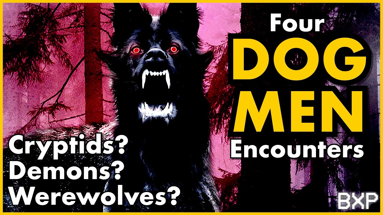 What are Dogmen? Four true first person Dogman encounters! Phantoms ...