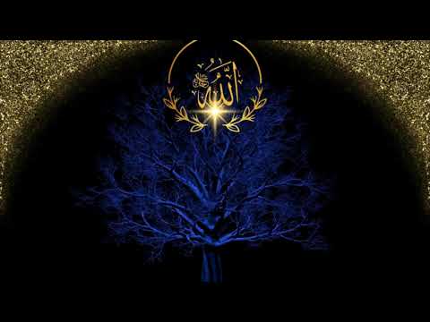 HU ALLAH ZİKİR #video #allah #islam #zikir