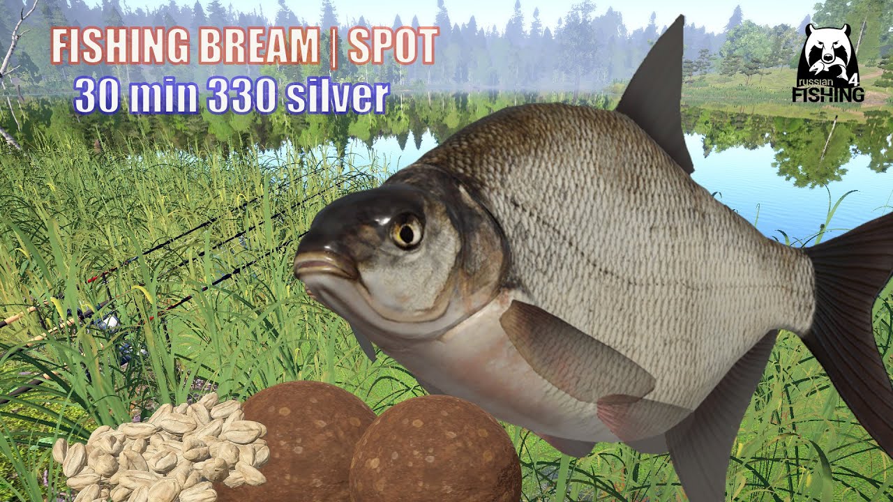 Russian Fishing 4 RF4 Old Burg | Active Spot Bream - YouTube