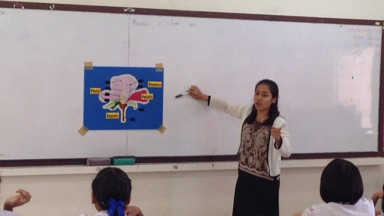 make a wit IEP : Teacher Bee : Class P.5 Science : Plant reproduction ...