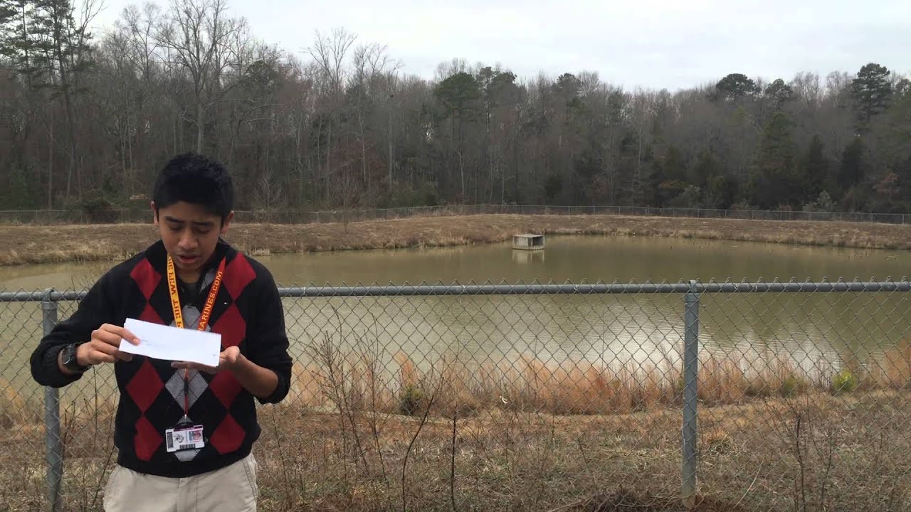 Hector The Protector Saves The Environment - YouTube