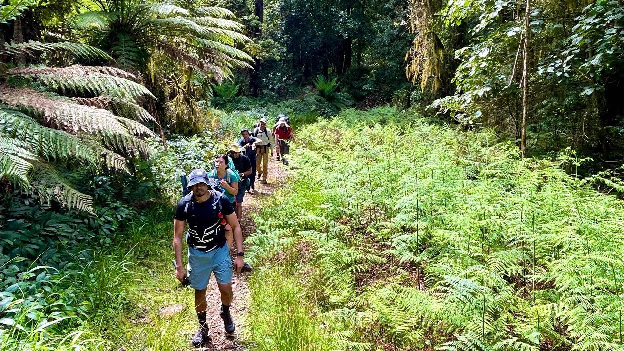 Barrington tops | Carey’s peak - YouTube