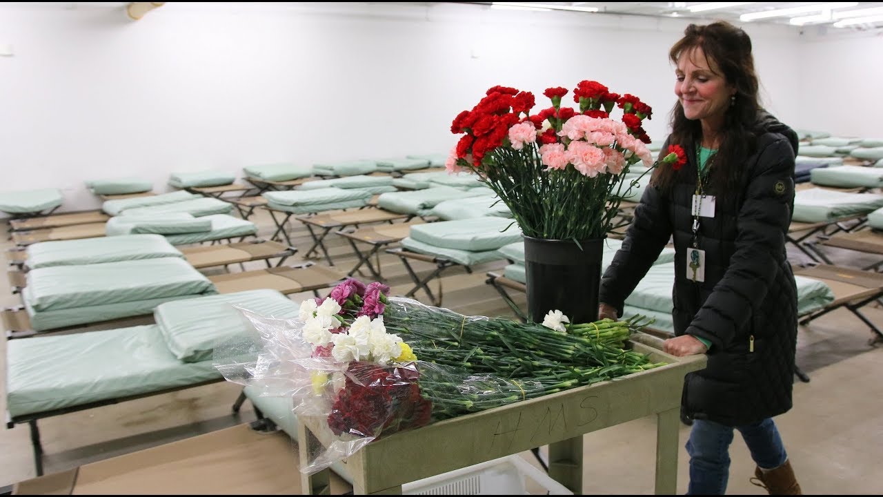 Flower Shops Give Back to Help Homeless Women at Catholic Charities 💐 ...