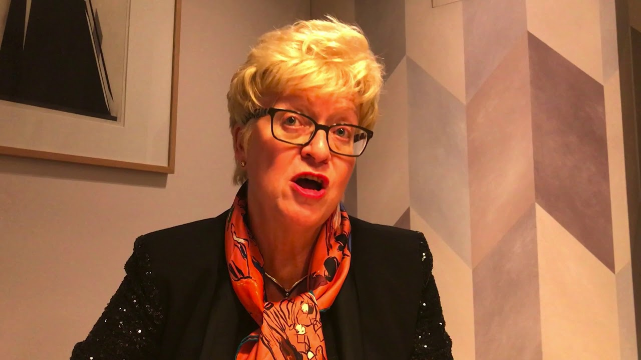 IDN Helen Pitcher About CorpGov - YouTube