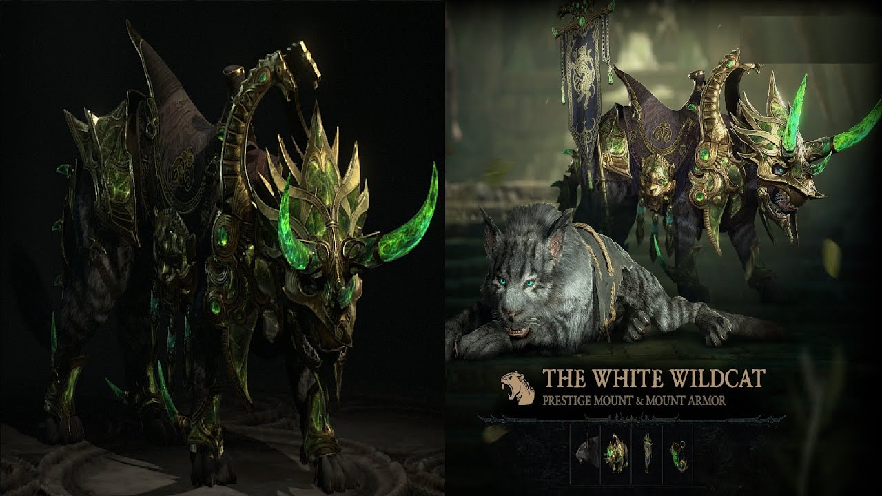 The White Wildcat Cat Set! | Diablo 4 Cosmetic Showcase! - YouTube