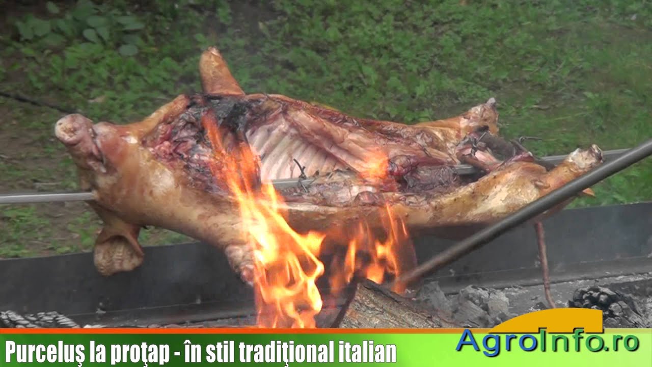 Purcelus la protap - in stil traditional italian - YouTube