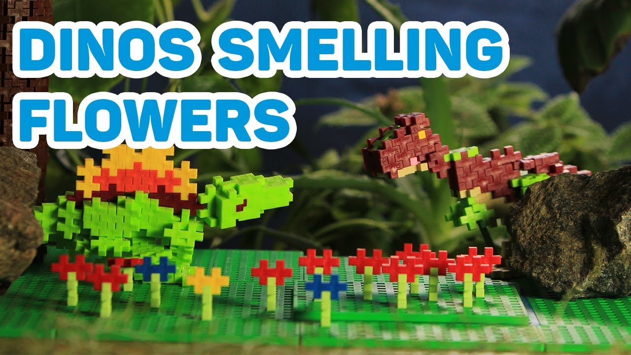 Plus-Plus T-rex smells flowers - Stop Motion Video - YouTube