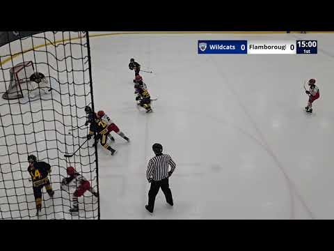 Woolwich Wildcats vs Flamborough Sabres - U12 AA - 01/04/2026 - YouTube
