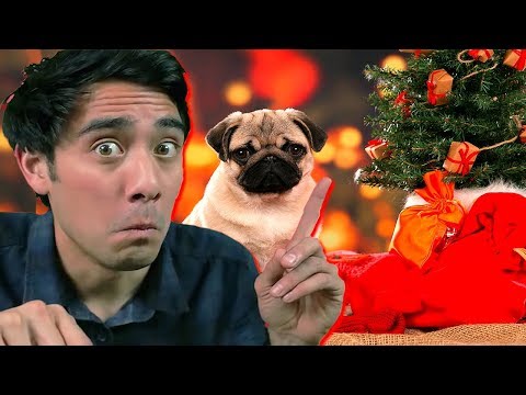 Funny Zach King Christmas Magic Tricks Collection - Best Awesome Magic Vines Ever