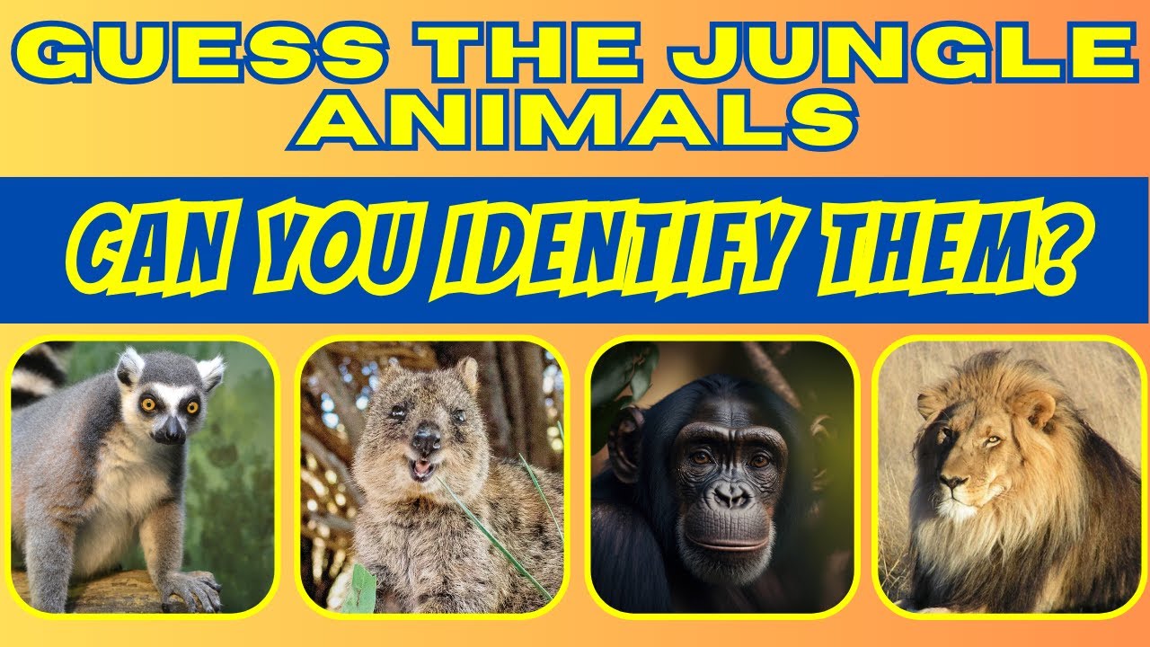 Jungle Animal Guessing Quiz: Can You Identify these Wild Wonders ...