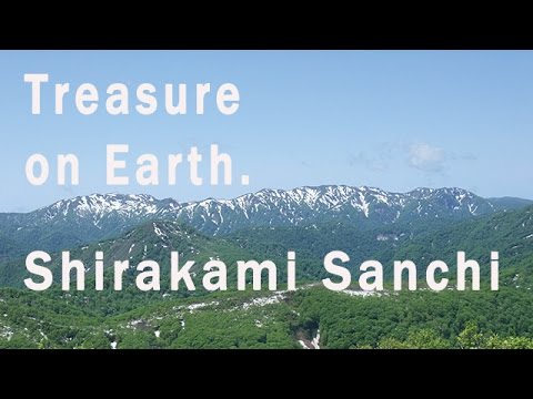 World Heritage Site In Japan Shirakami Sanchi