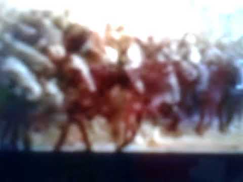 Dabba . La bête de l' Apocalypse de l' Islam . Le maitre du temps - YouTube