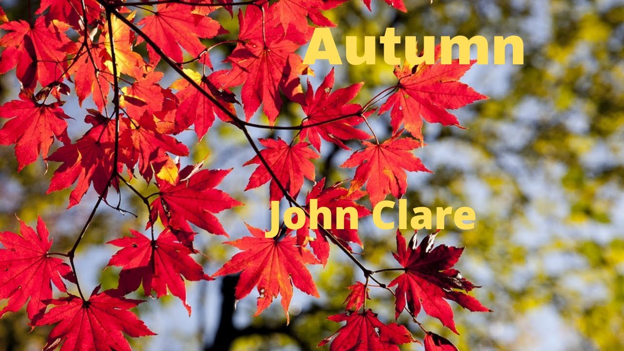 Autumn by John Clare Class IX /Bengali analysis/line by line Bengali ...