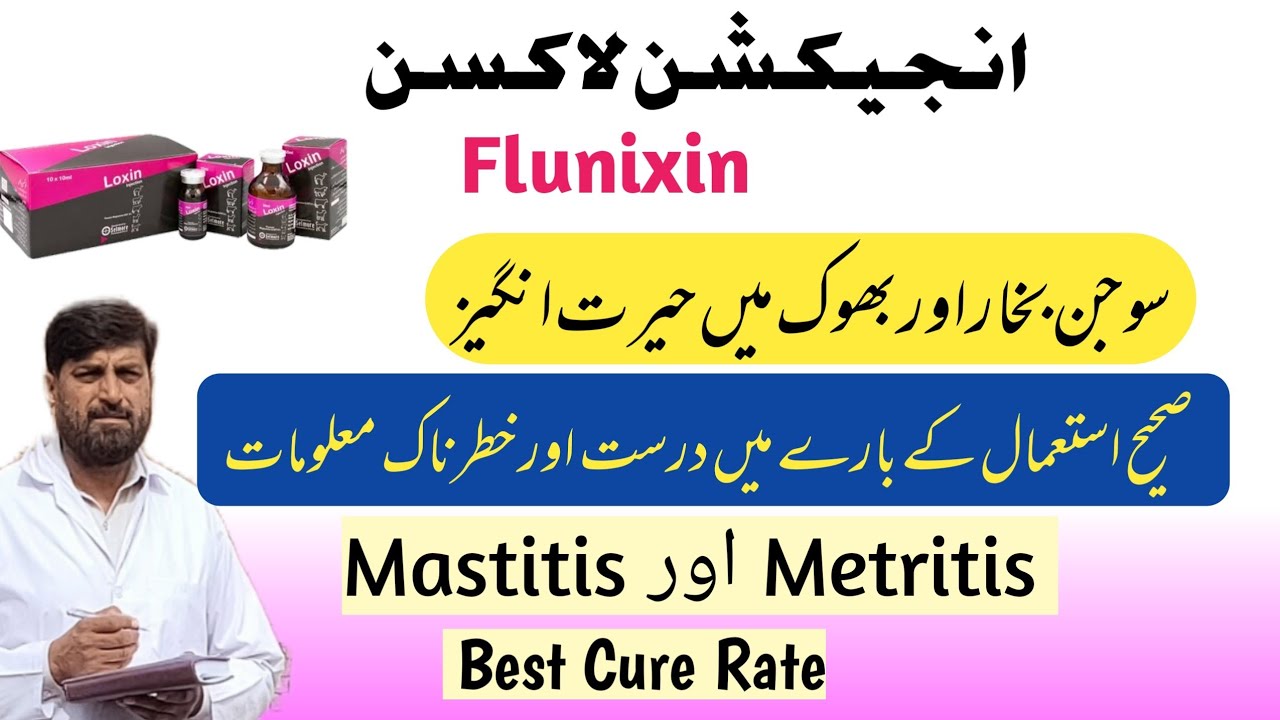 Loxin - Inj Flunixin Meglumine Ka استعمال صحیح Mastitis Metritis Aur ...