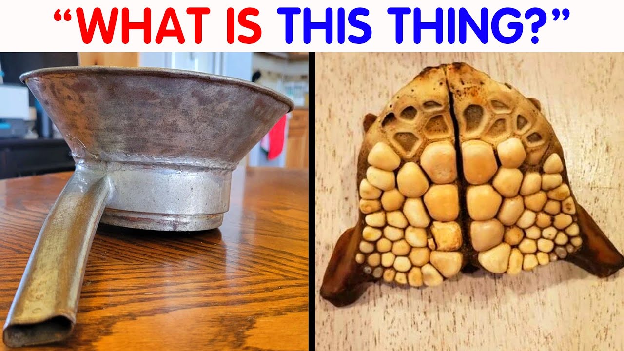 "What Is This Thing?” : Times People Stumbled Upon Mysterious Objects ...
