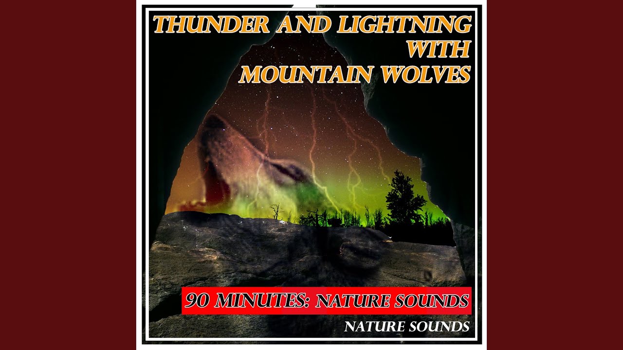 Thunder and Lightning with Mountain Wolves: 90 Minutes Nature Sounds ...
