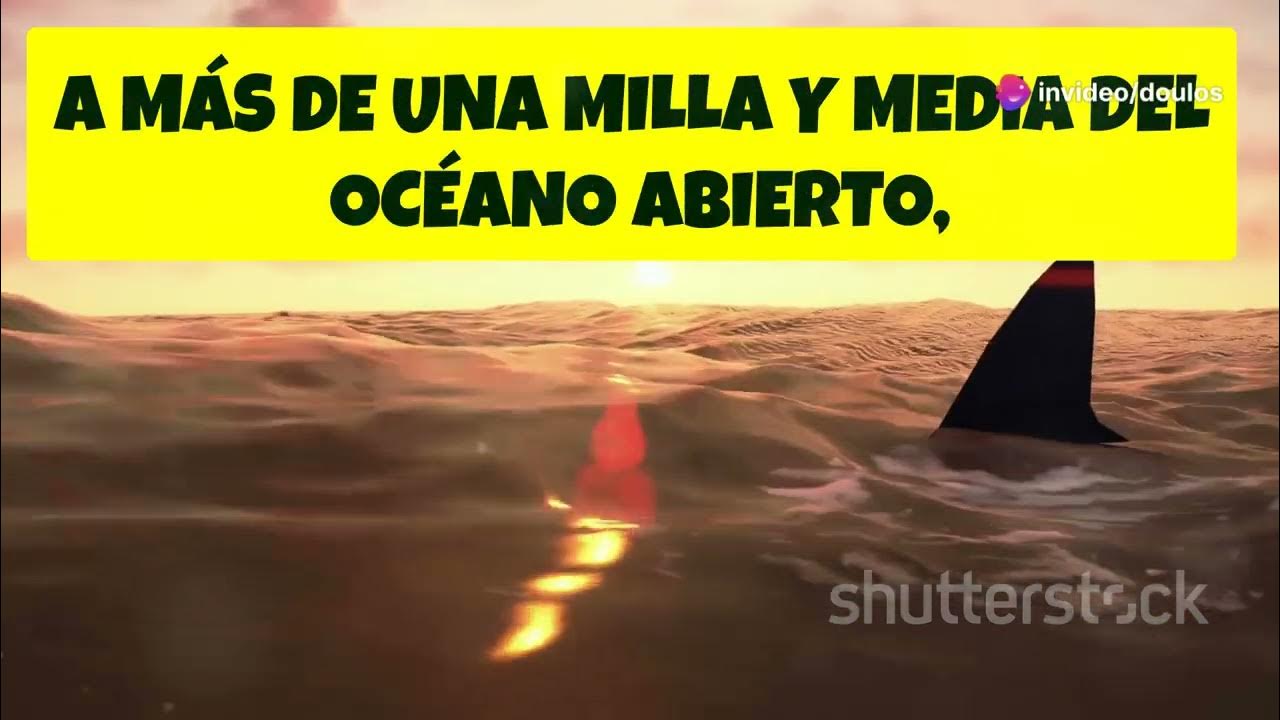 Los ataques de tiburones de 1916 El verano del miedo - YouTube