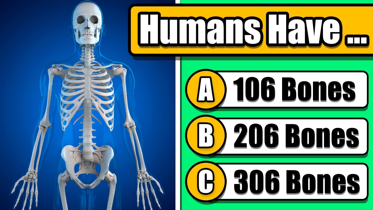 Human Body General Knowledge Quiz 🦴 ️ | 50-Question Challenge About ...