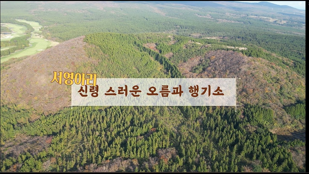 제주오름기행(Korea Jeju Oreum Trip) - 서영아리오름(Seoyeongari Oreum,용와이오름) - YouTube