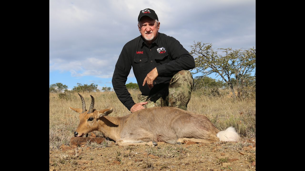 Wayne Bomstad Outdoors, Mountain Reedbuck, 2015 - YouTube