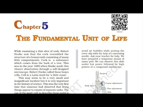 class 9th || biology || Chapter-1||The Fundamental Unit Of Life - YouTube