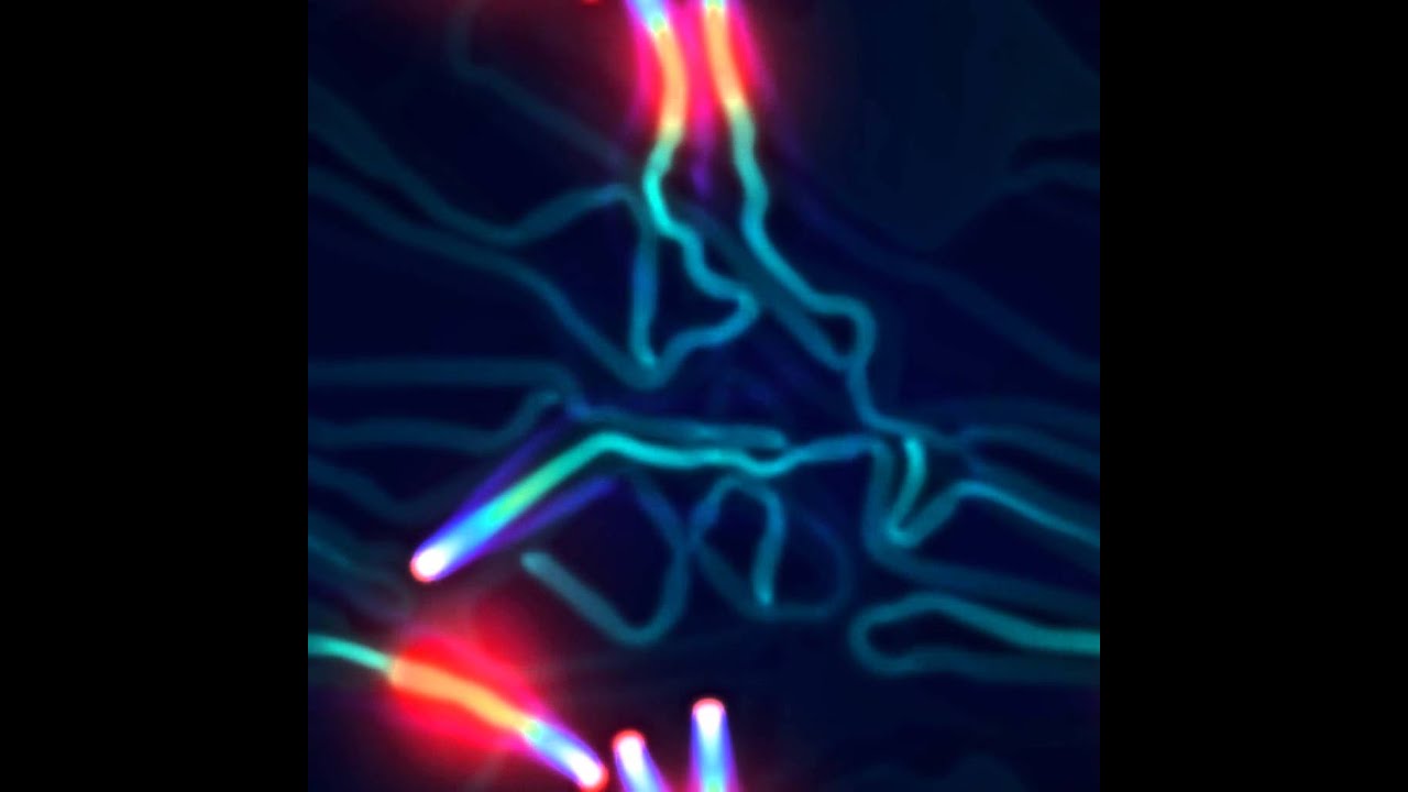 Gray-Scott Reaction Diffusion Long History Avoidance - YouTube