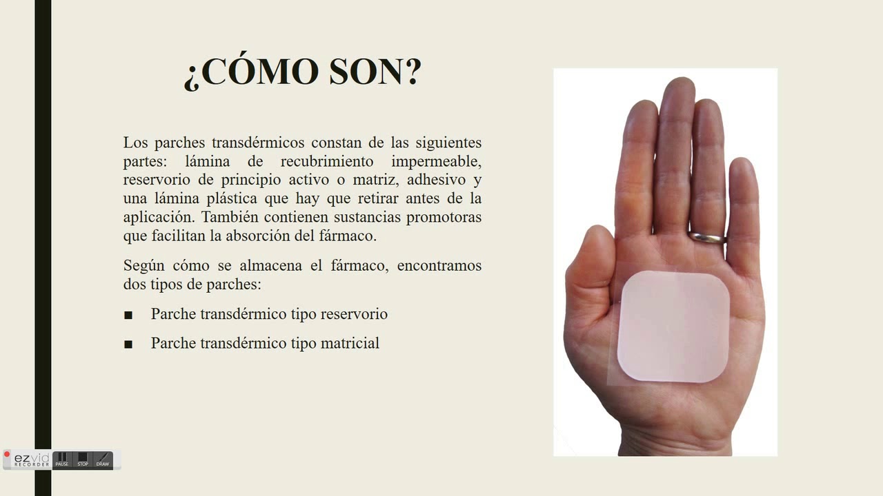 Actividad No. 3: Presentación de la Investigación (Parches ...