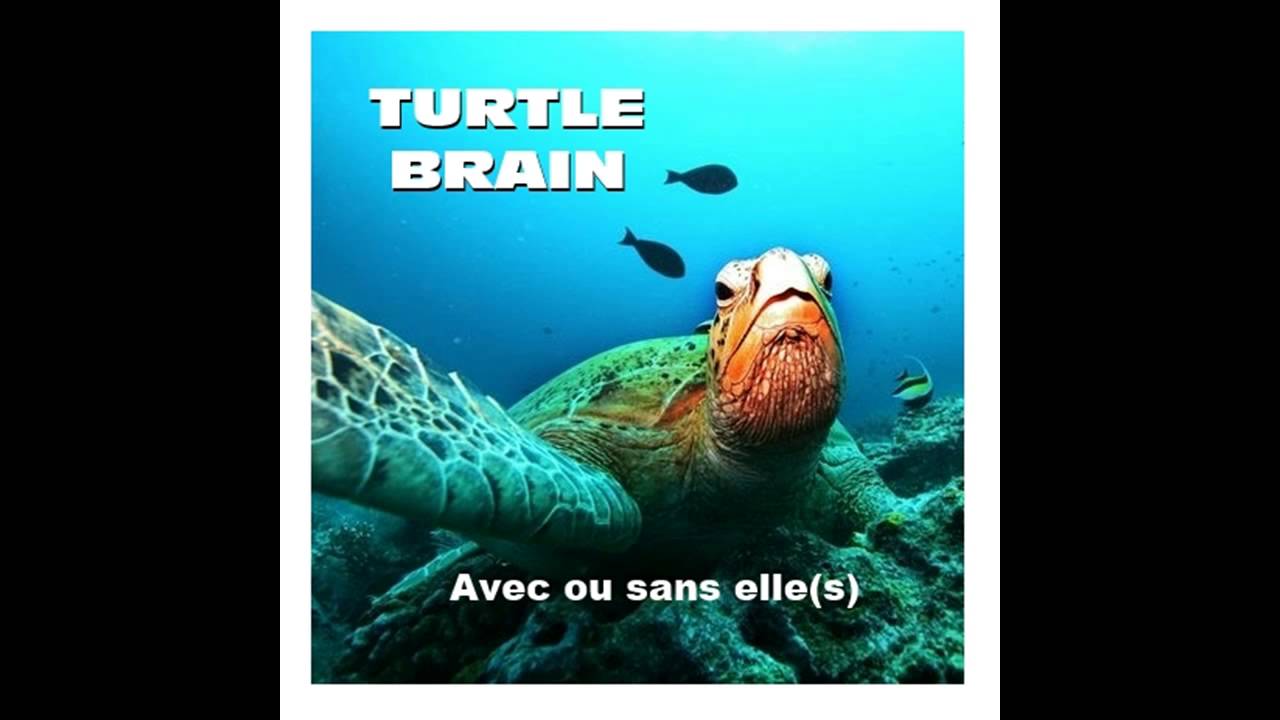 01. TURTLE BRAIN - Délivrance (Version album) - YouTube