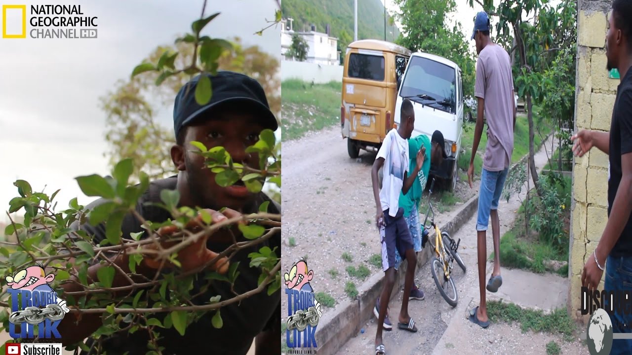 Jamaican's In The Wilderness |-| Comedy Sketch @Trouble Link Tv - YouTube