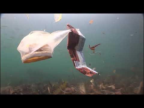 National Geographic Reading Explorer 1 Unit 11 Our Plastic World - YouTube