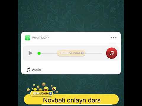 Online dərs İngilis dili.  ( prikol)