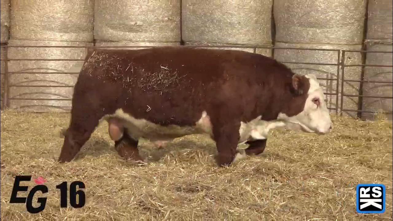 16 rsk 2025 - YouTube