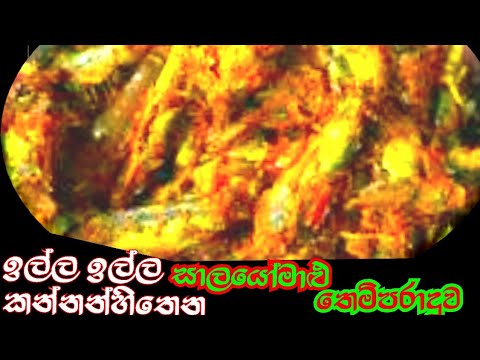 fish recipe🥰🥰🥰 |how to make salaya fish tempered| in sinhala | salayo ...