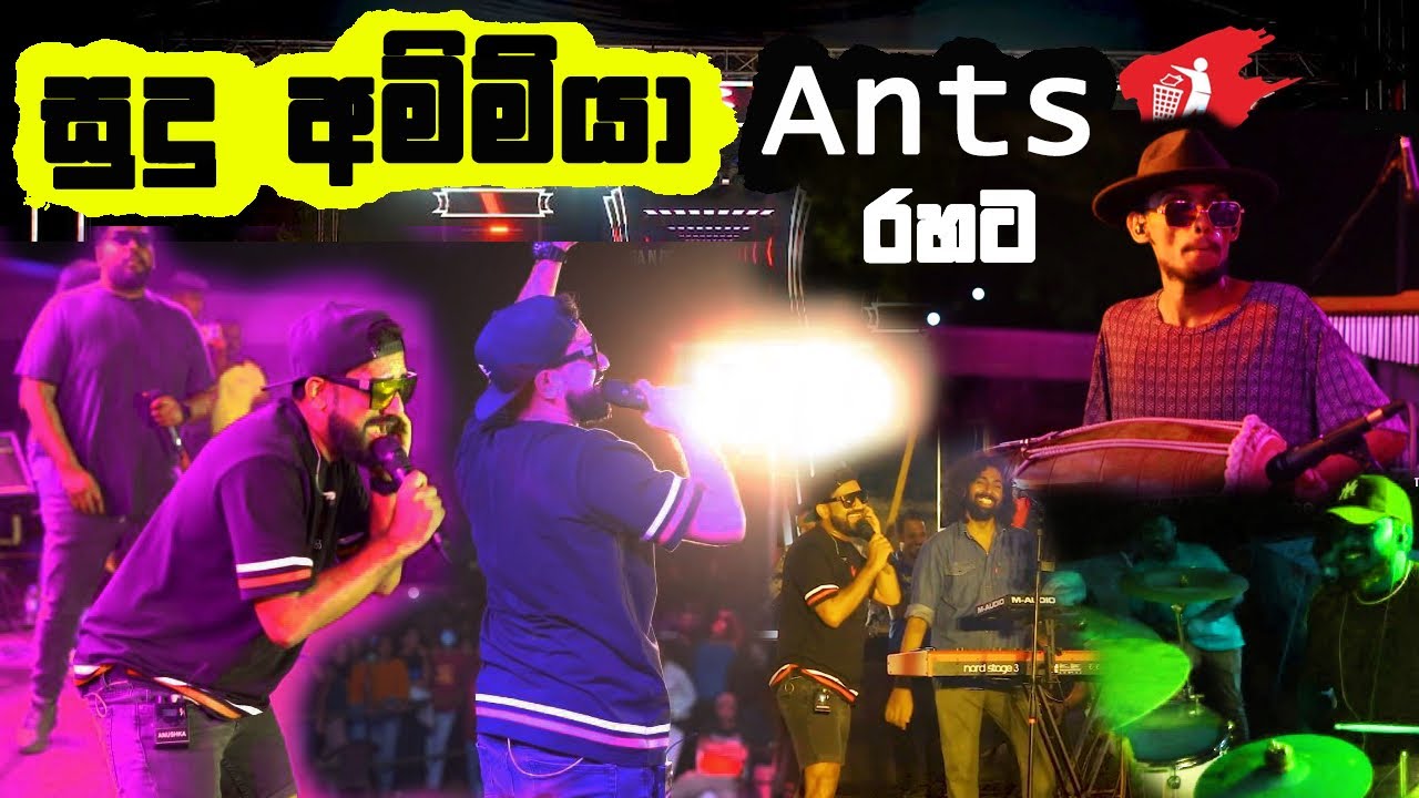 වස්ති 🔥 මා මළ දවසට | Ants live band | Sudu ammiya #wasthi - YouTube