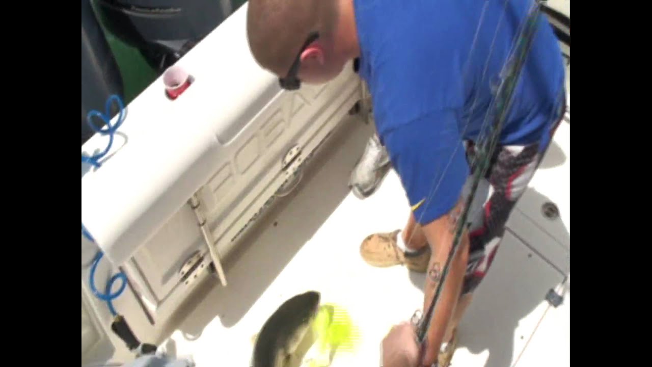 REEL BOATING 0001 - YouTube