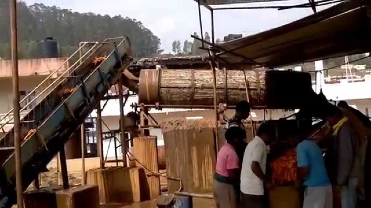 carrot factory at ooty - YouTube