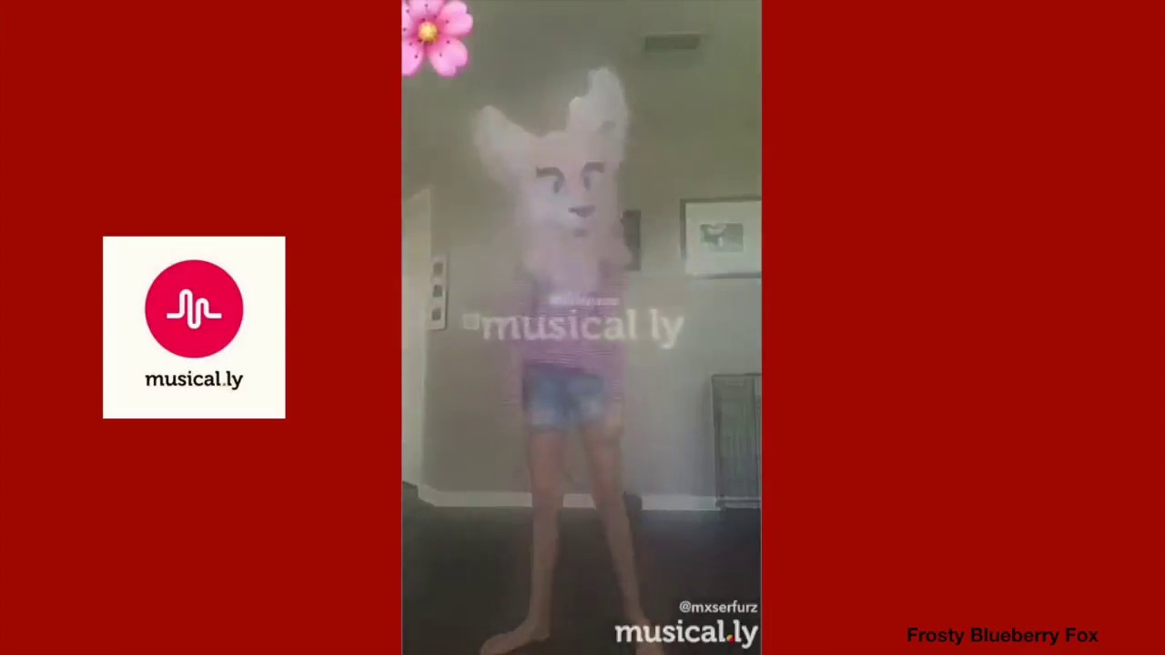 Furry Musical.ly Compilation #2 Ft Majira Strawberry, Hiplikekodahusky ...