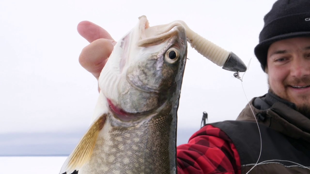 Lake Trout in the UP, Rabbit Hunting, Venison Recipe; Michigan Out of ...