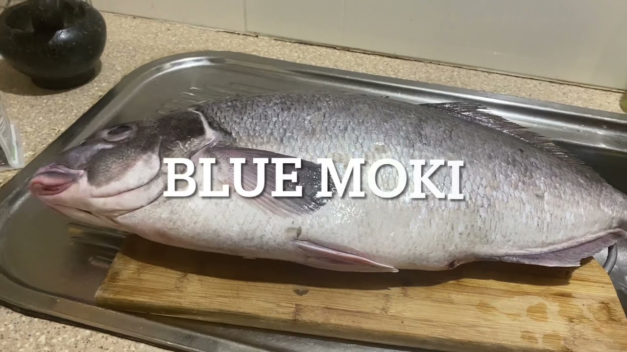 Blue MOKI 5kg, clean and cut - YouTube
