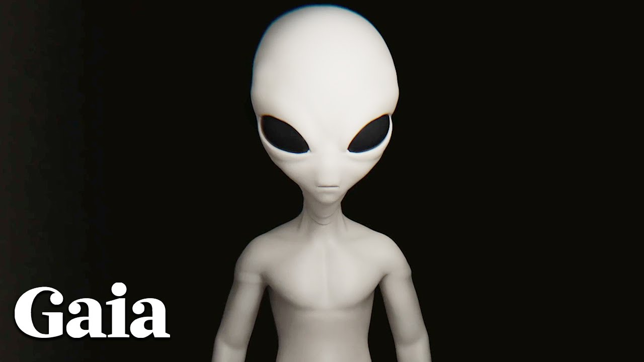 How Can We Understand Higher Levels of NON-HUMAN Consciousness? - YouTube