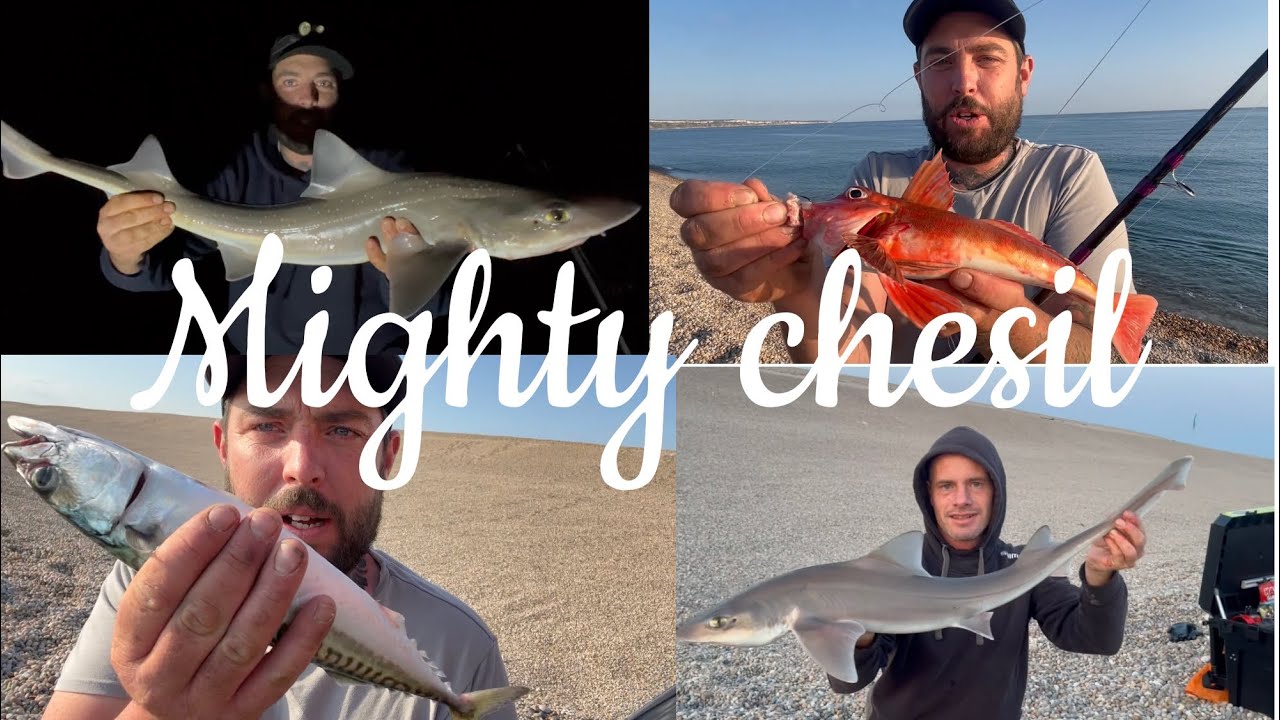 Fishing chesil beach 🇬🇧 / the beach of broken dreams 🏴‍☠️#fishing # ...