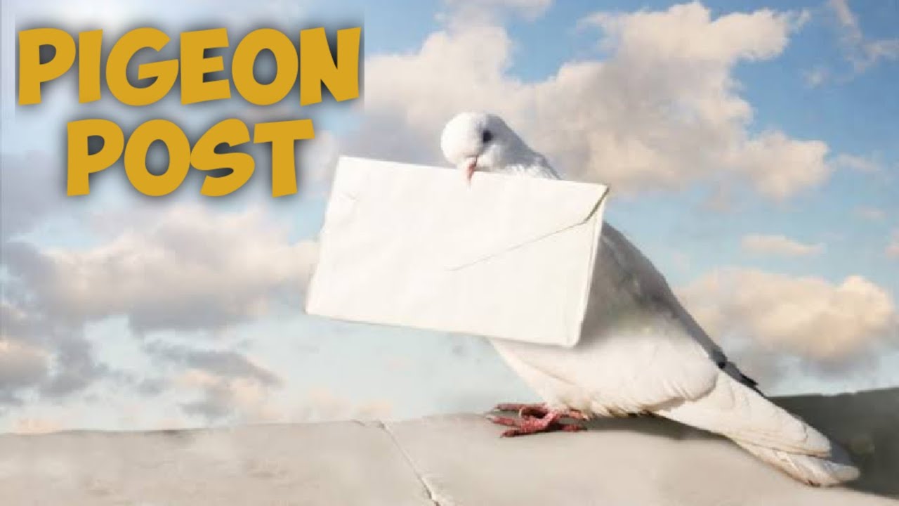 What is pigeon post ? || how pigeon post works || कबूतर डाक ...