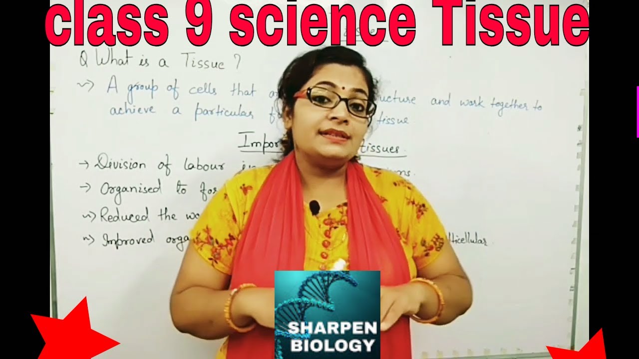 Class 9 science,chapter 6 tissue,types of tissue,plant tissue ,types of ...