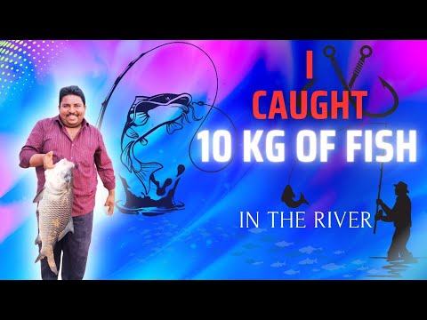 Big fish - YouTube