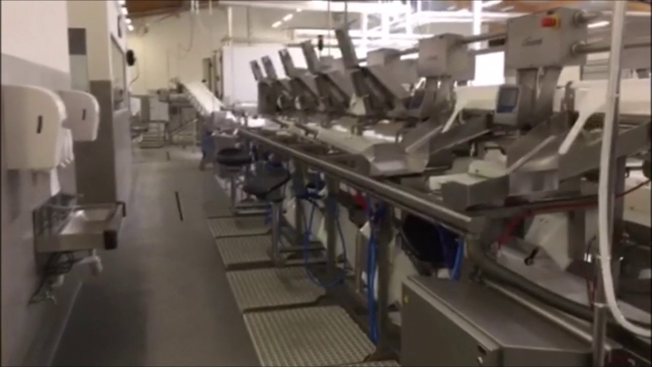 Marel Trimming Line for 12 stations - YouTube