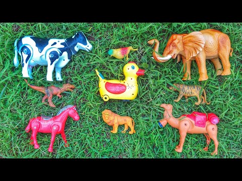 menemukan mainan hidup bebek kuda sapi onta gajah burung harimau dinosaurus singa