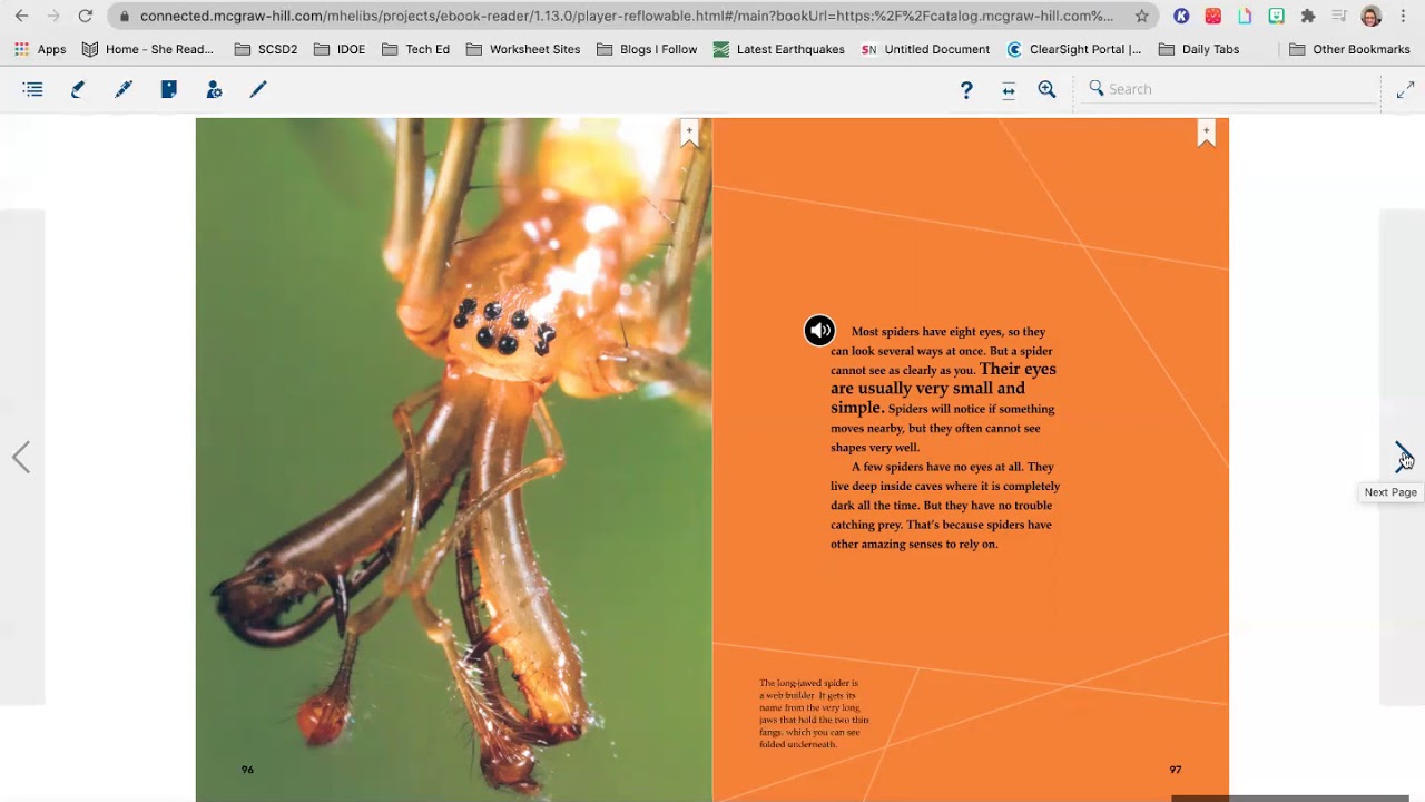 Wonders U2 W2 spiders - YouTube