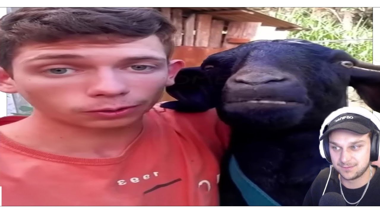 Blarg Reacts To Memes That WILL OFFEND YOU - YouTube