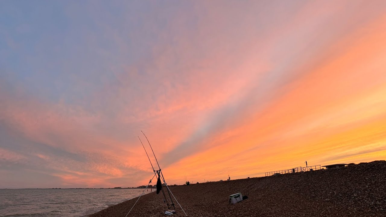 The tale of two tides, Hounds, Rays@ Hythe Kent - YouTube
