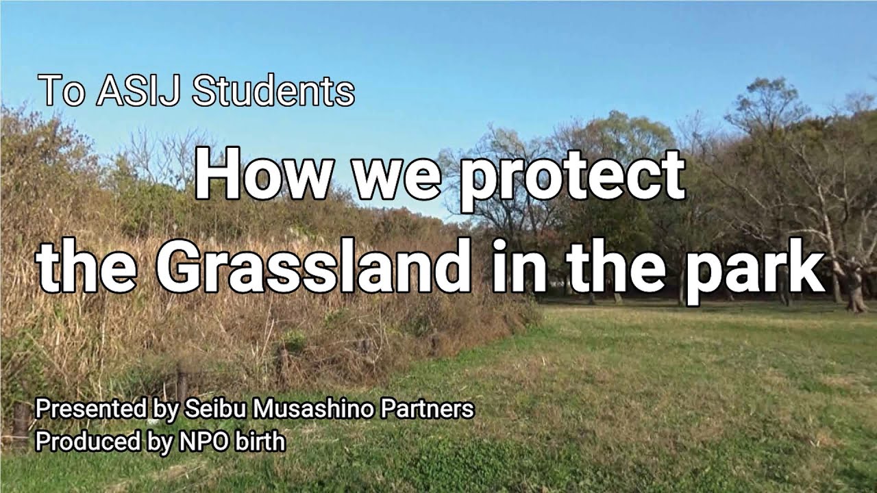 How we protect the Grassland in the park - YouTube